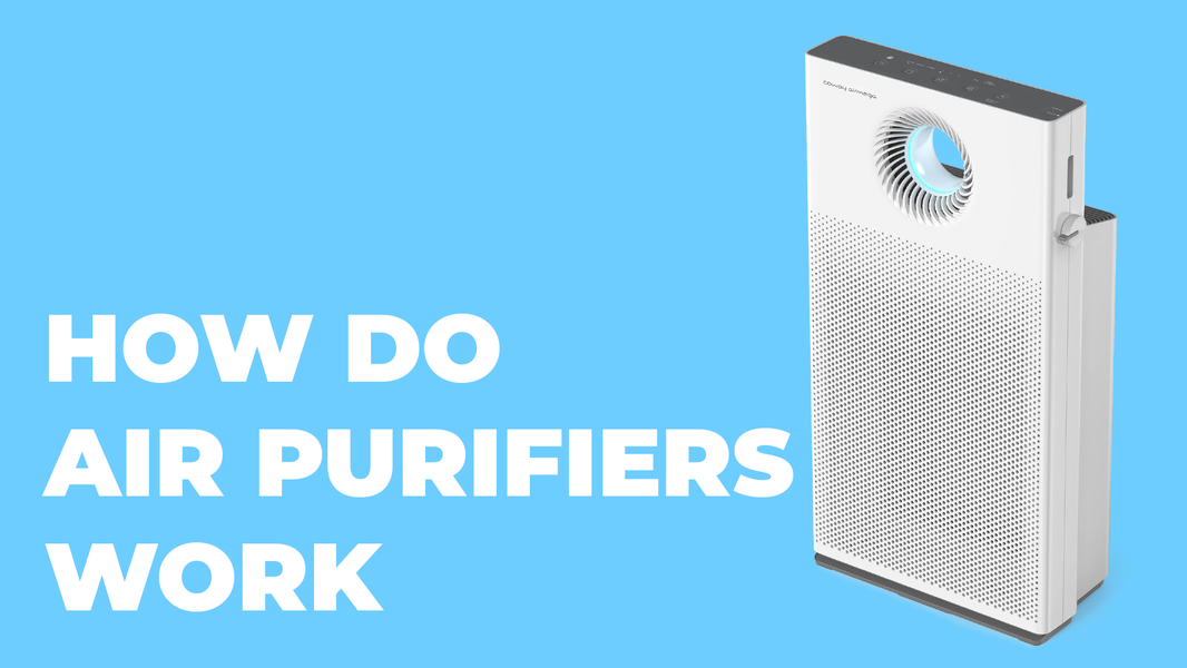 How Do Air Purifiers Work: The Complete Guide